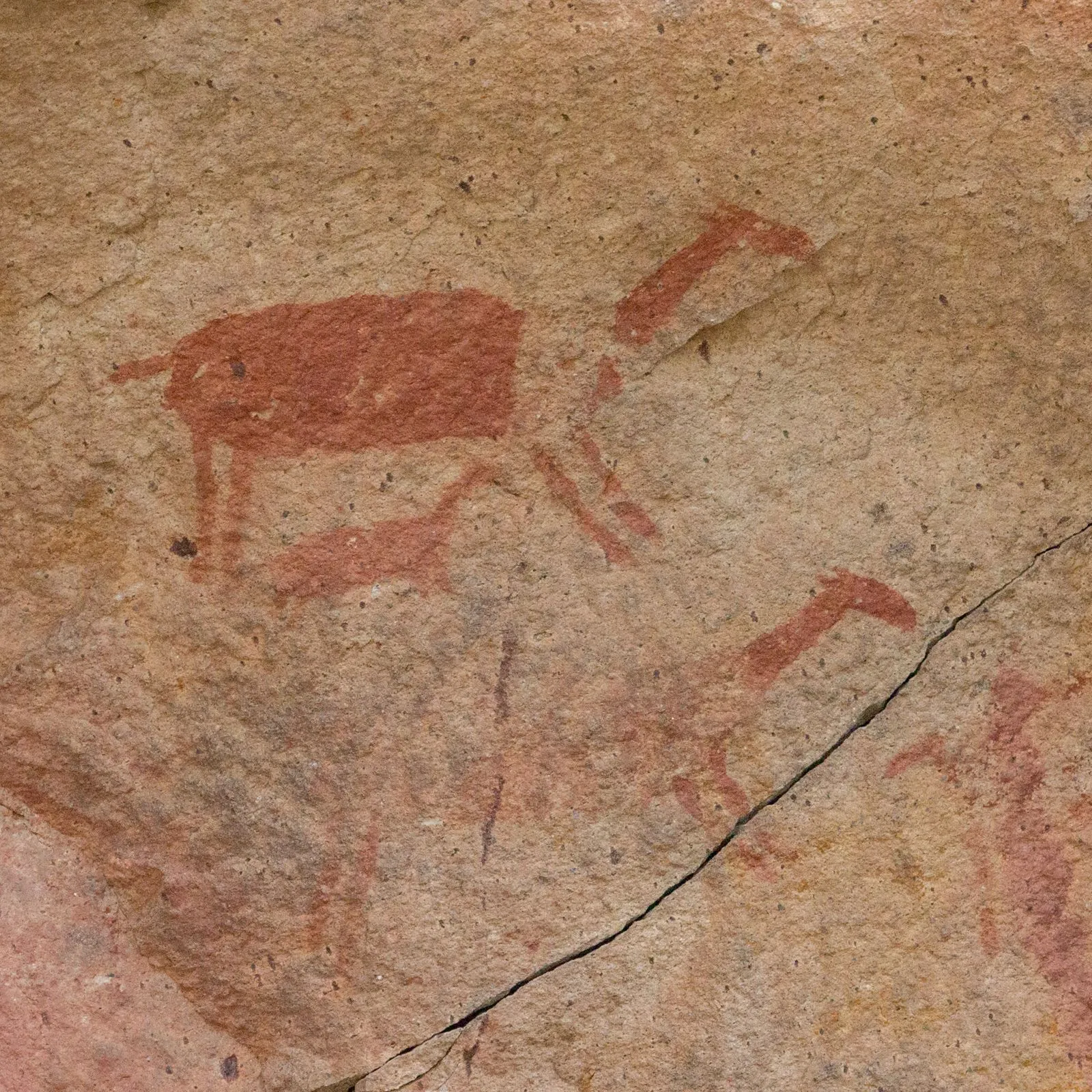 Los milenarios secretos de Cueva de las Manos y los más de 80 sitios ...